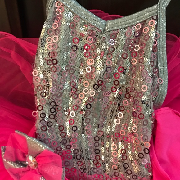 Dresses | Brand New Silver Pink Tutu Leo Dress 3 Piece Set | Poshmark